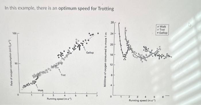 Solved In this example, there is an optimum speed for | Chegg.com