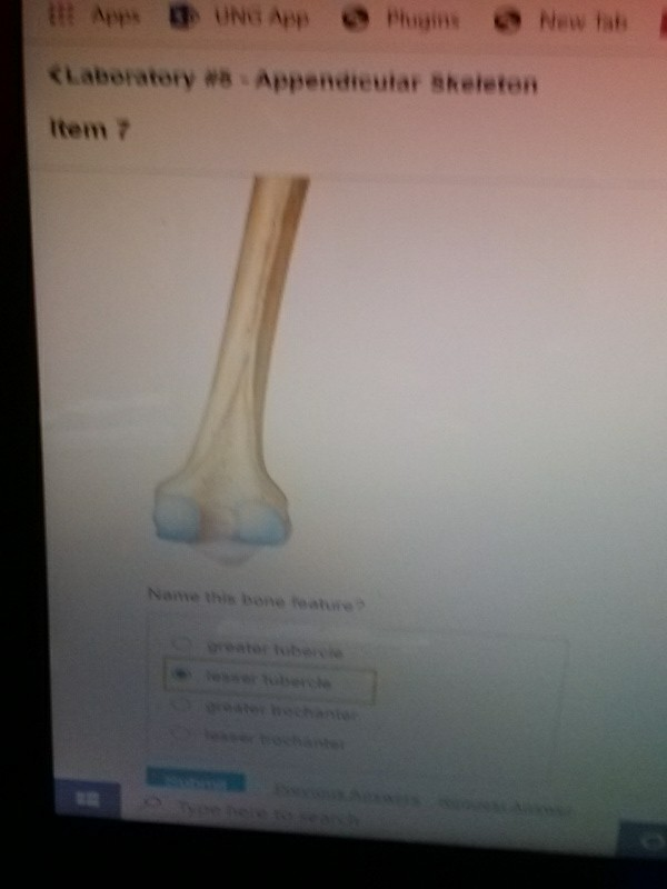 Solved HH Apps UNG APP Plugin New tal Laboratory #8 | Chegg.com