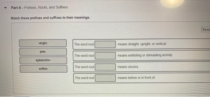 Solved Part A Prefixes Roots And Suffixes Match These Chegg solved-part-a-prefixes-roots-and-suffixes-match-these-chegg
