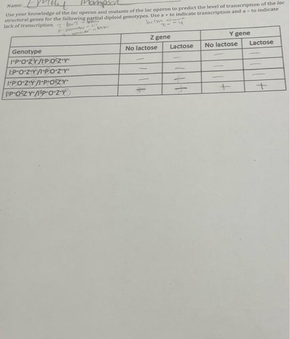 Solved Use your knowledge of the lac operon and mutants of | Chegg.com