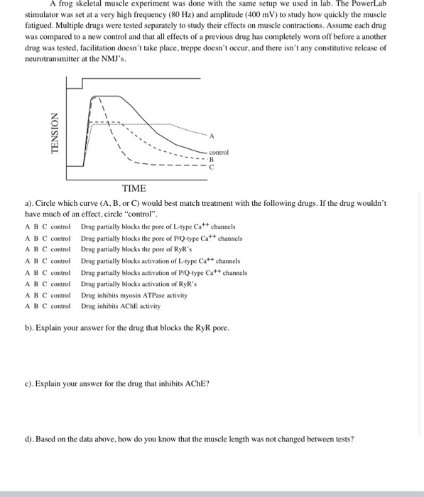 A frog skeletal muscle experiment was done with the | Chegg.com