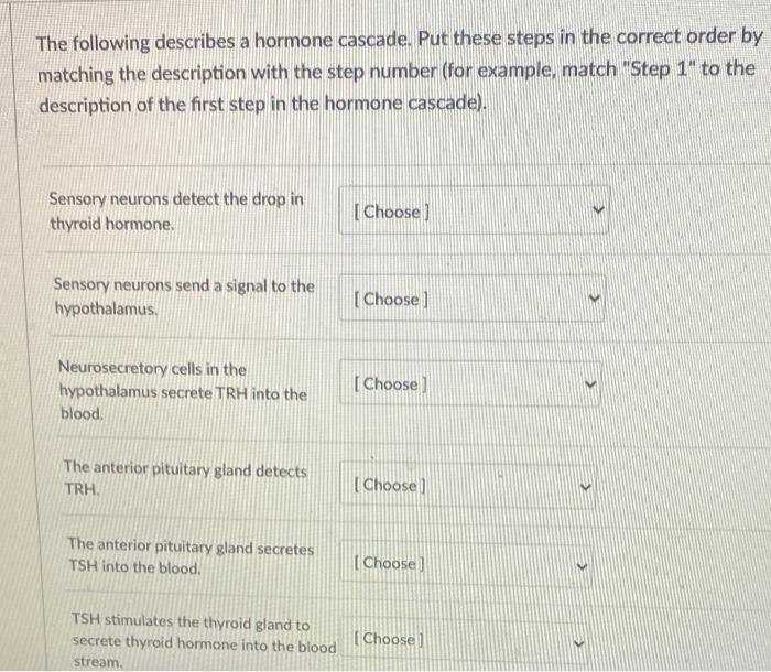 Solved The following describes a hormone cascade. Put these | Chegg.com