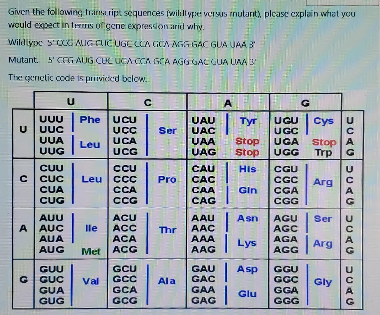Solved Given the following transcript sequences (wildtype | Chegg.com