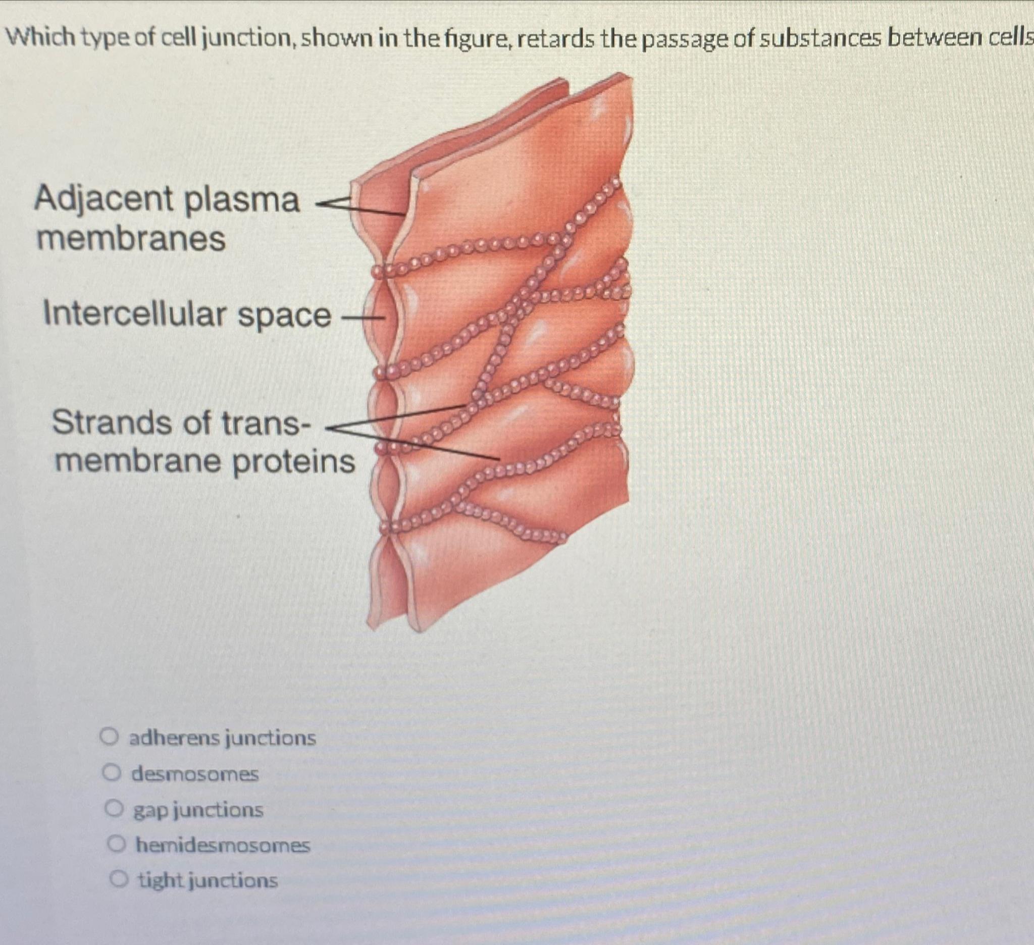 Solved Which type of cell junction, shown in the figure, | Chegg.com