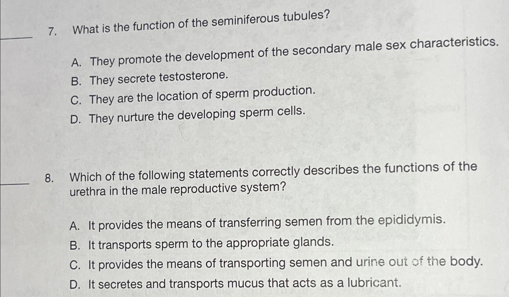 Solved What is the function of the seminiferous tubules?A. | Chegg.com