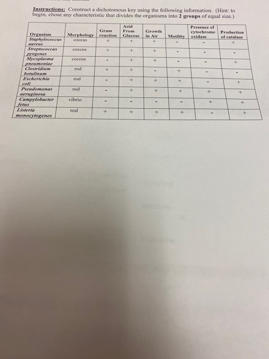 Solved Instructions: Construct a dichotomous key using the | Chegg.com
