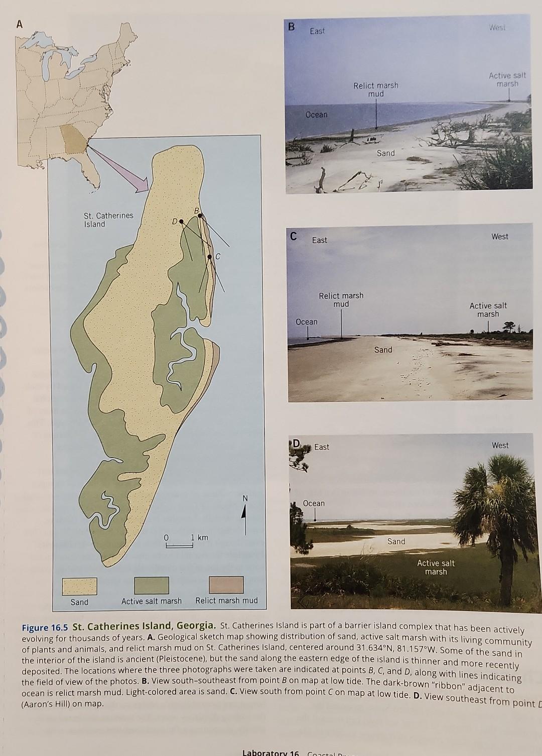 Solved Learning GOAL You will interpret coastal landforms | Chegg.com