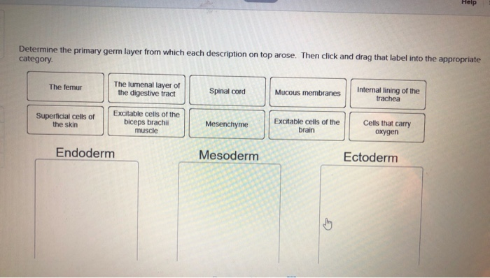 Solved Help Determine the primary germ layer from which each | Chegg.com