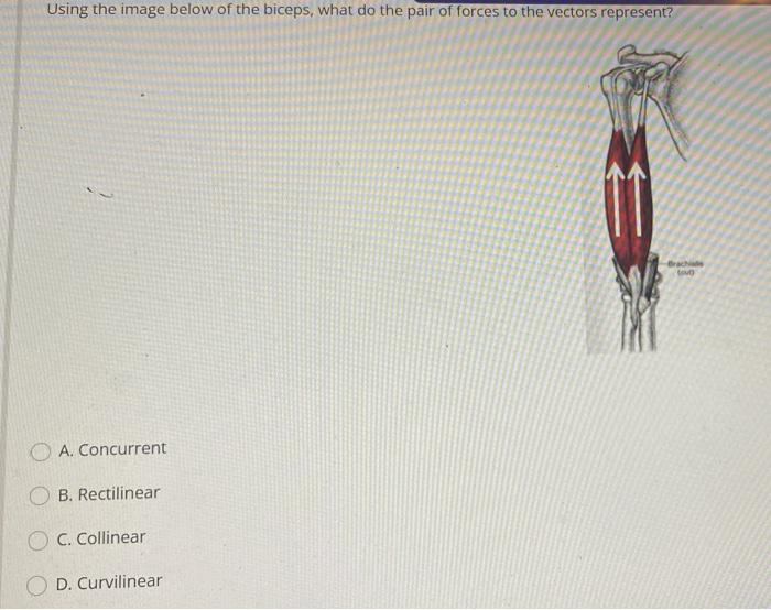 Solved Q7 | Chegg.com