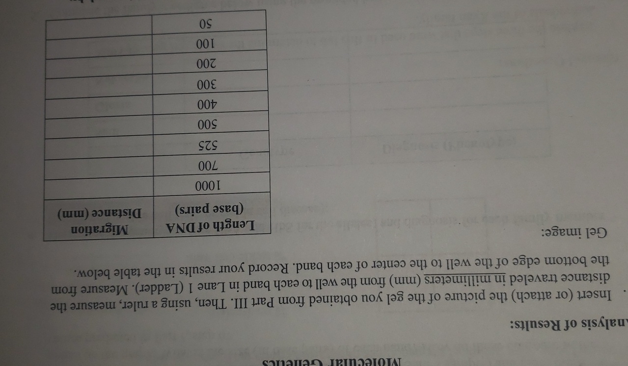 Solved nalysis of Results:Insert (or attach) ﻿the picture of | Chegg.com