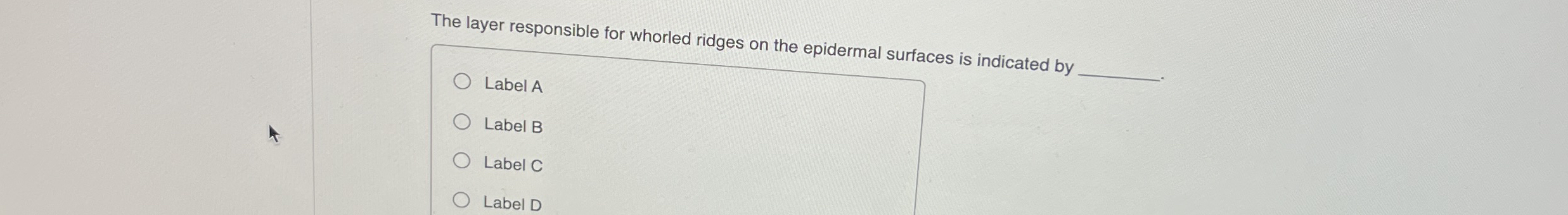 Solved The layer responsible for whorled ridges on the | Chegg.com