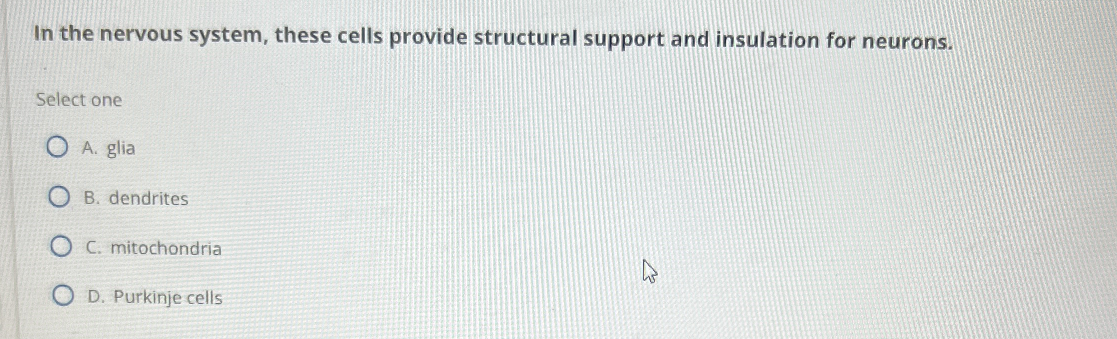 Solved In the nervous system, these cells provide structural | Chegg.com