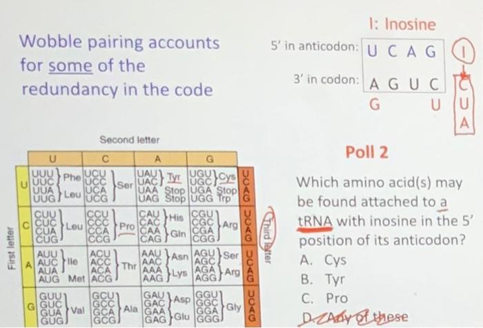 Solved 1: Inosine 5' in anticodon: UCAGO Wobble pairing | Chegg.com