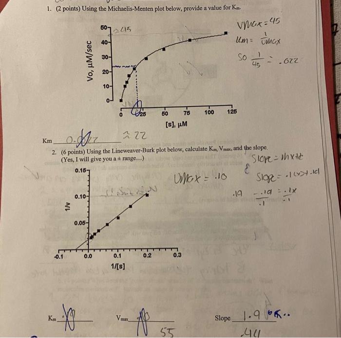 Solved 1. (2 points) Using the Michaelis-Menten plot below, | Chegg.com