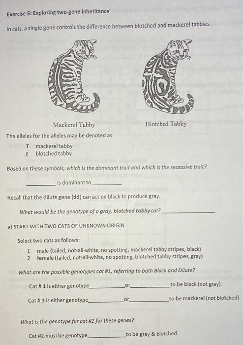 Exercise 5: Exploring two-gene inheritance In cats, a | Chegg.com