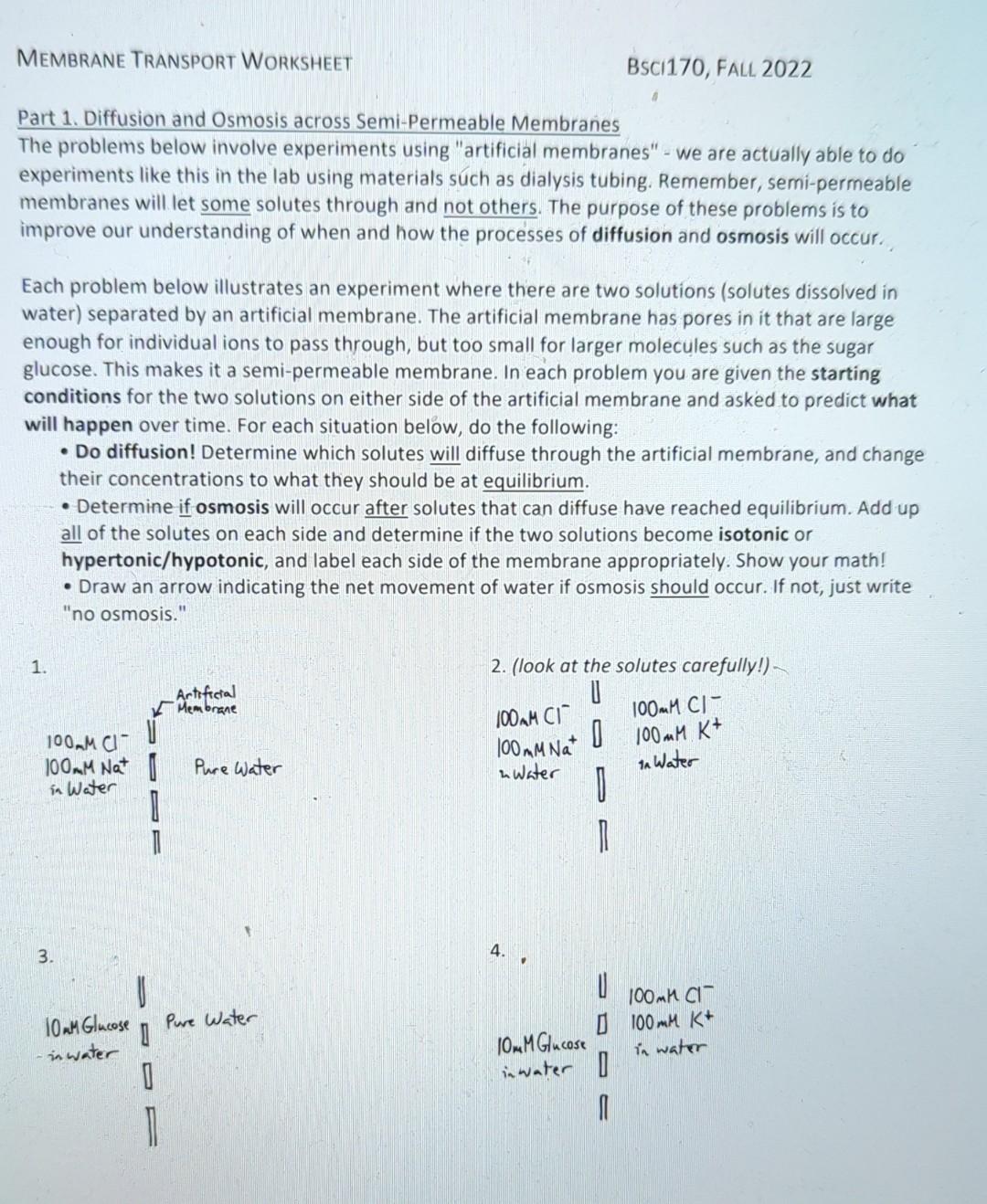 Solved MEMBRANE TRANSPORT WORKSHEET BSCI170, FALL 2022 Part | Chegg.com