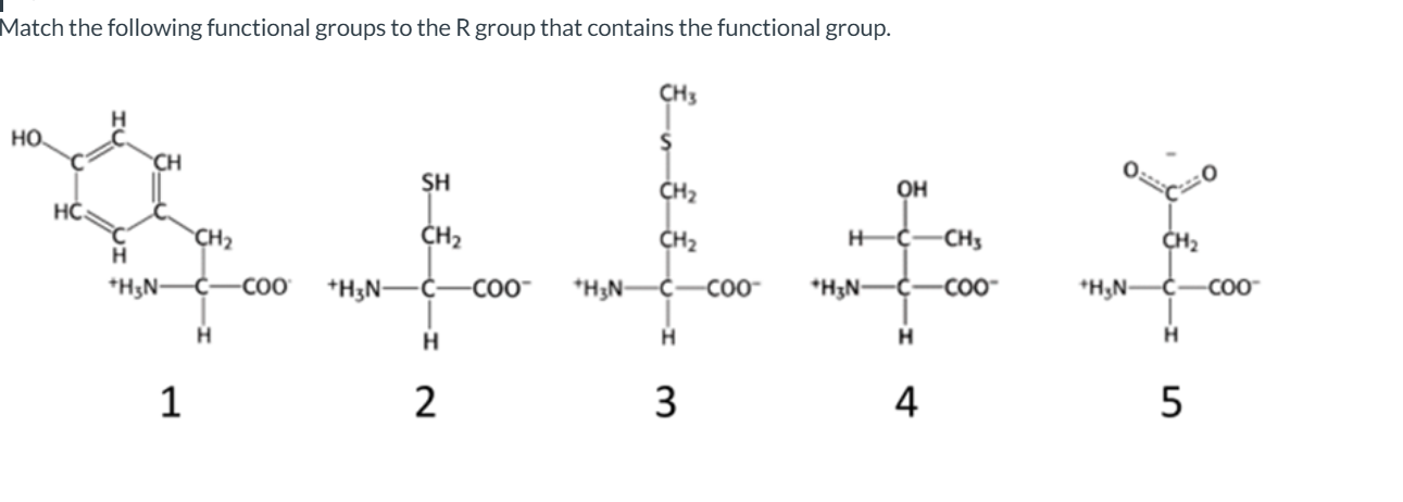 Solved Match the following functional groups to the R group | Chegg.com
