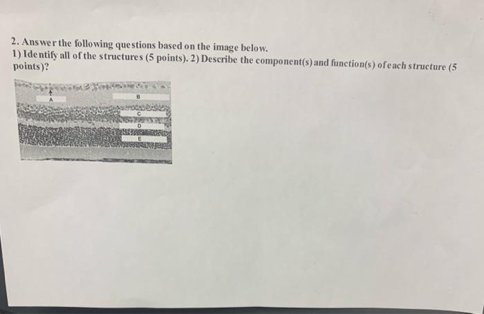Solved 2. Answer the following questions based on the image | Chegg.com