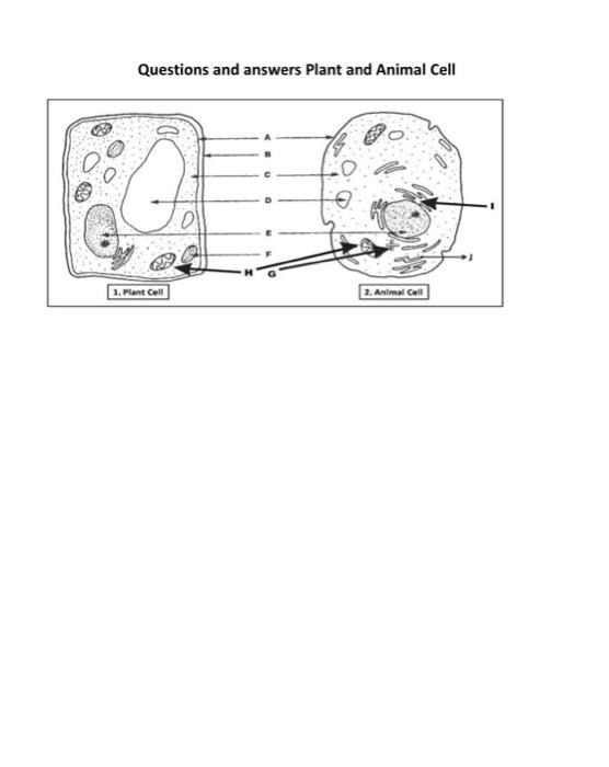 Solved Comparing Plant and Animal Cells Objective: The | Chegg.com