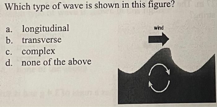 Solved Which type of wave is shown in this figure? | Chegg.com