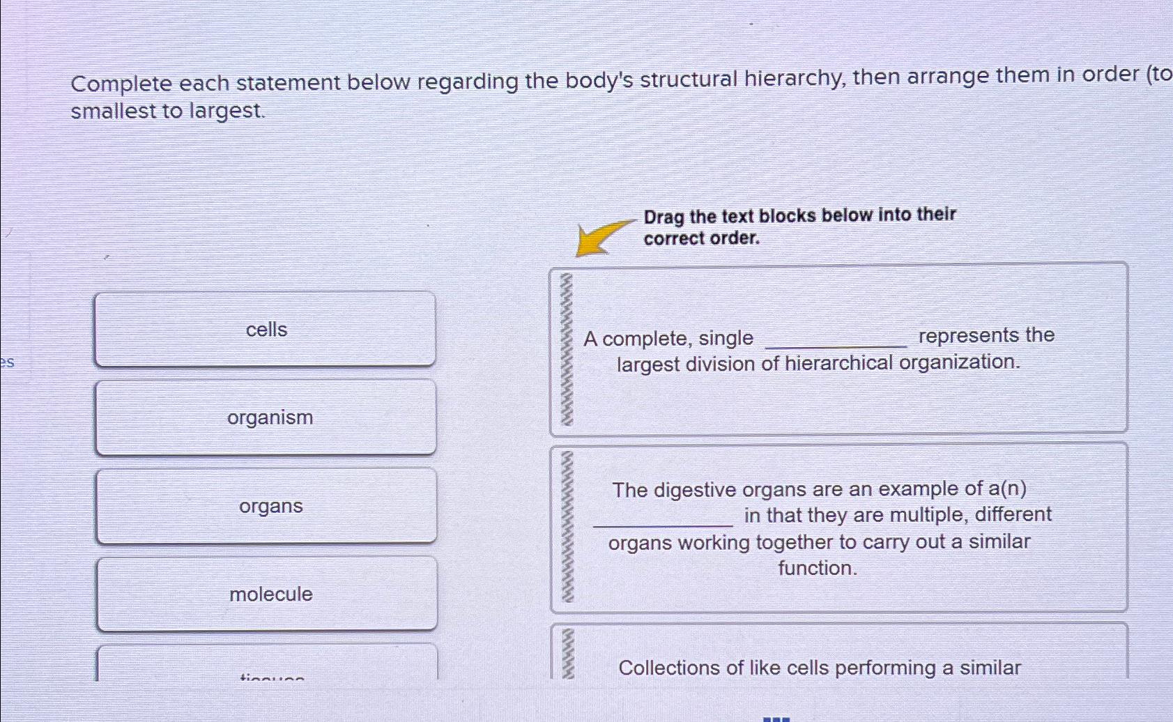 Solved Complete each statement below regarding the body's | Chegg.com