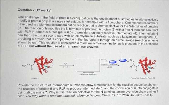 Solved One challenge in the field of protein bioconjugation | Chegg.com