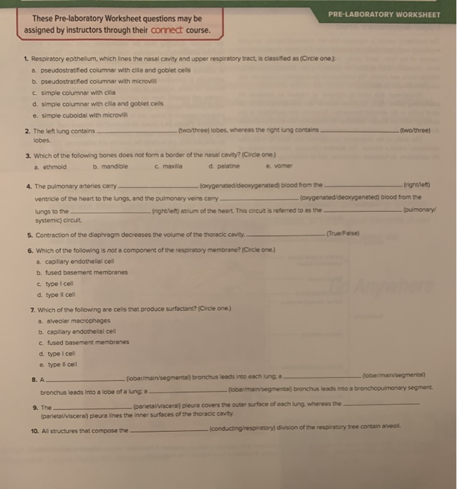 Solved PRE-LABORATORY WORKSHEET These Pre-laboratory | Chegg.com