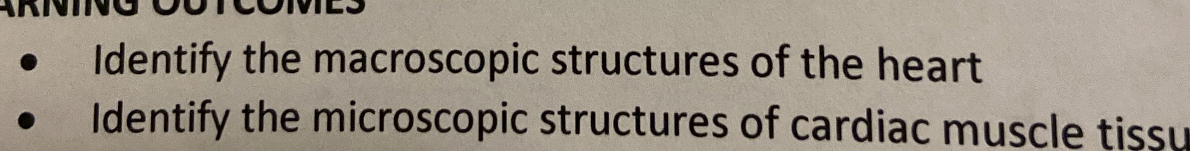Solved Identify the macroscopic structures of the | Chegg.com