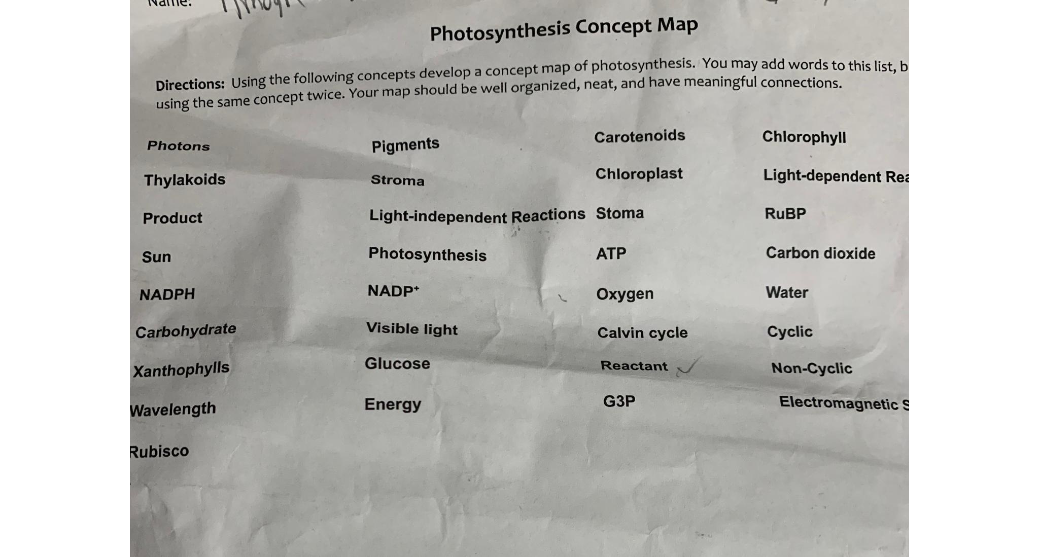 Solved Photosynthesis Concept MapDirections: Using the | Chegg.com