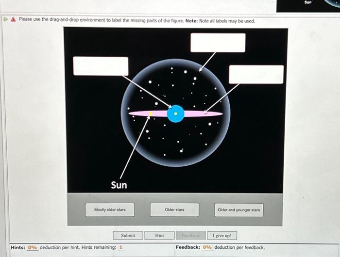 Solved Please use the drag-and-drop environment to label the | Chegg.com