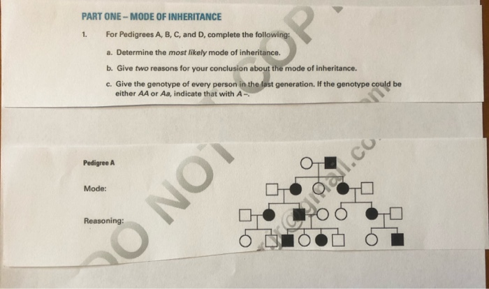 Solved 1 a. Determine the most likely mode of inheritance. | Chegg.com