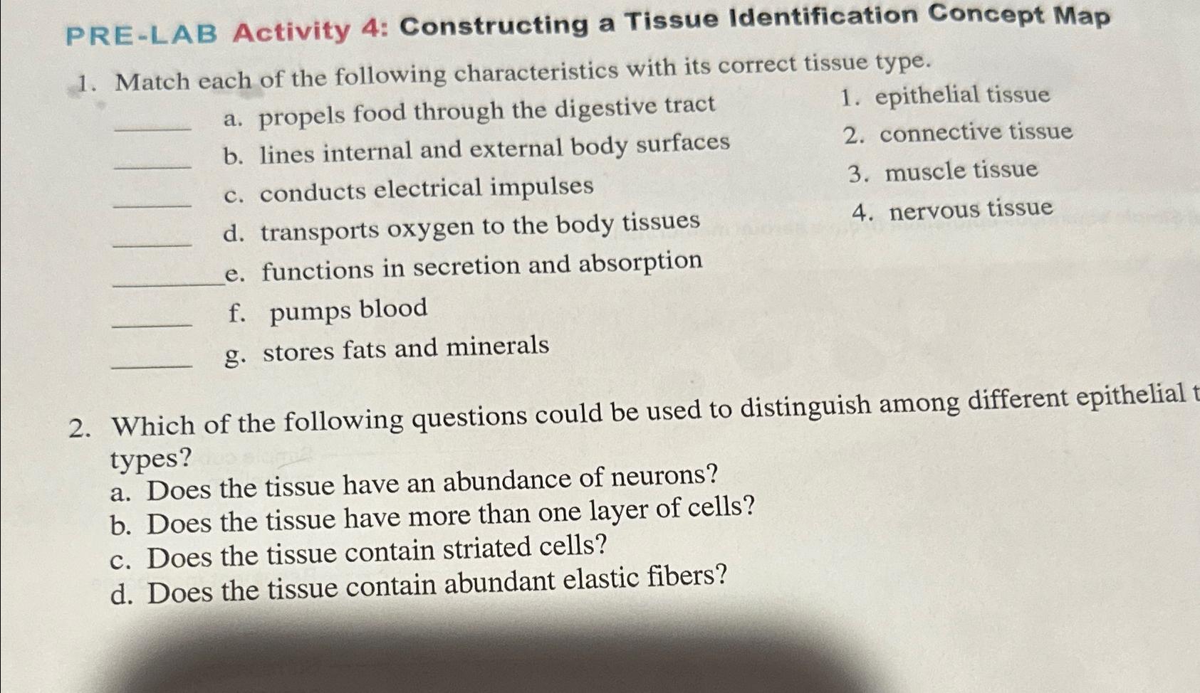 Solved PRE-LAB Activity 4: Constructing a Tissue | Chegg.com