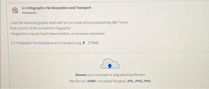 3.3 Infographic-Fat Absorption and Transport Homework | Chegg.com