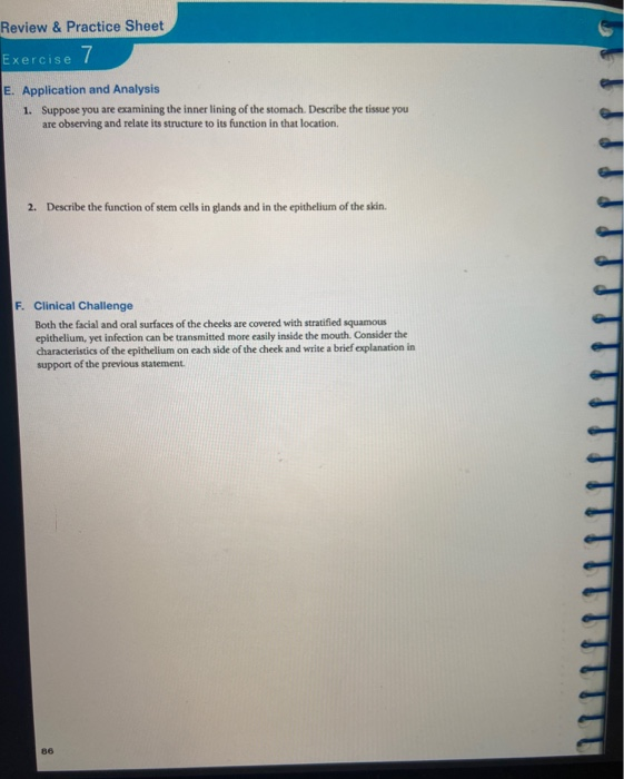 Solved Now available in MasteringA&P Review & Practice She | Chegg.com