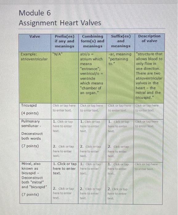 Solved Module 6 Assignment Heart Valves | Chegg.com