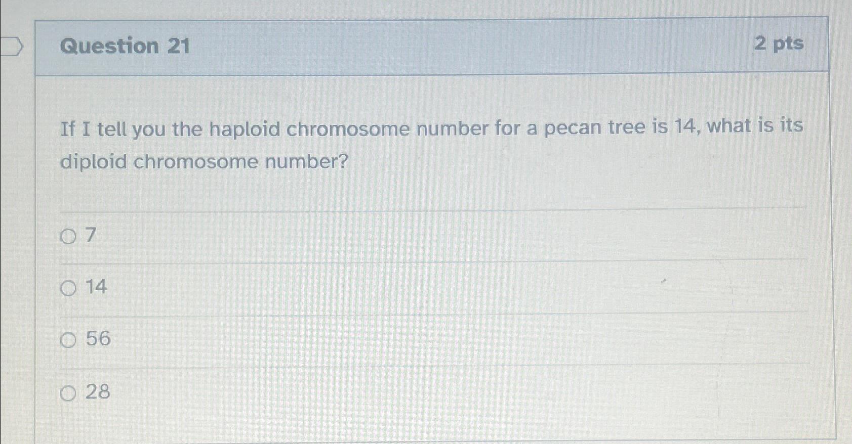 Solved Question 212 ﻿ptsIf I tell you the haploid chromosome | Chegg.com