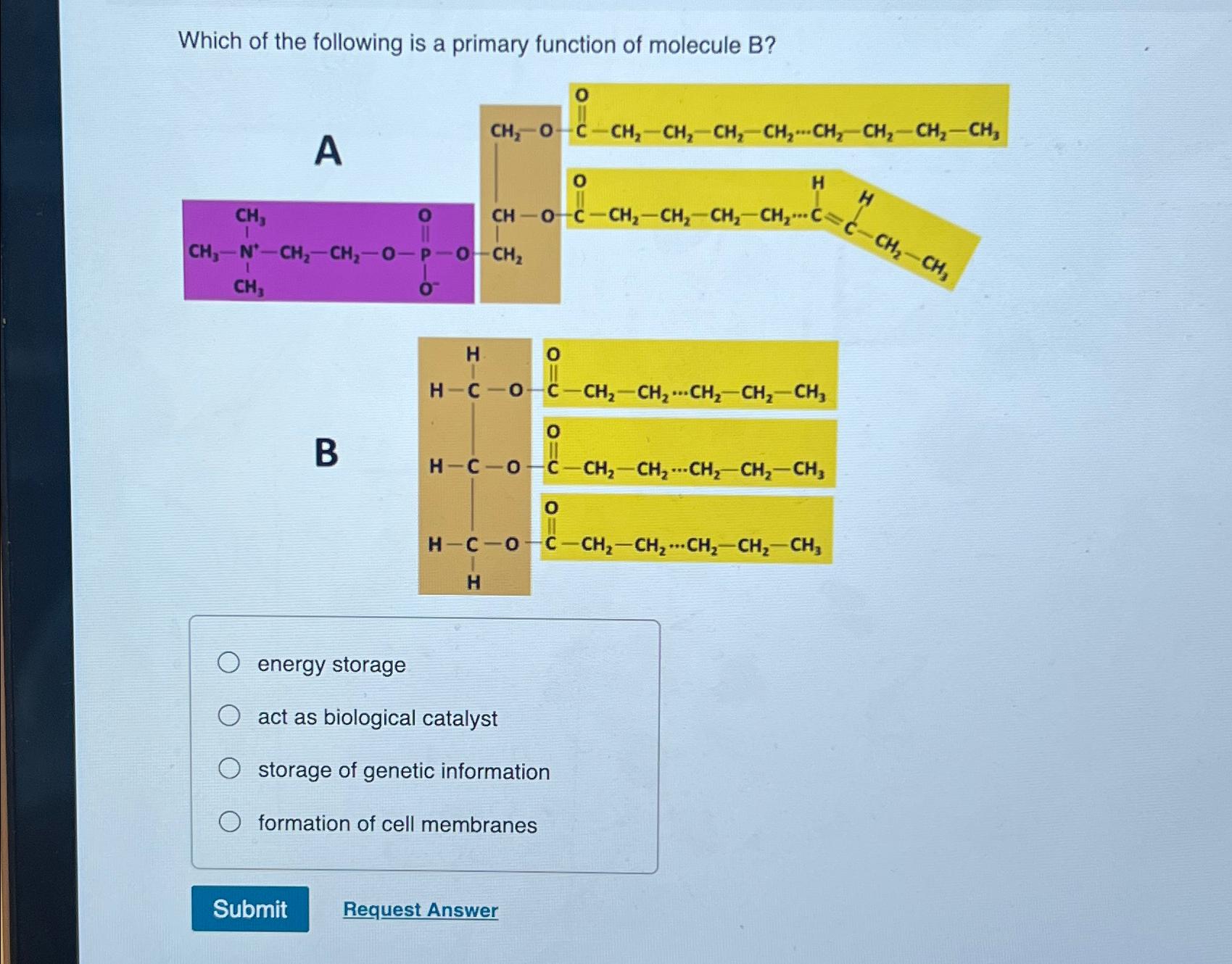 Solved Which of the following is a primary function of | Chegg.com