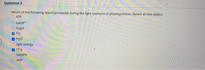 Solved which of the following is (are) produced during the | Chegg.com