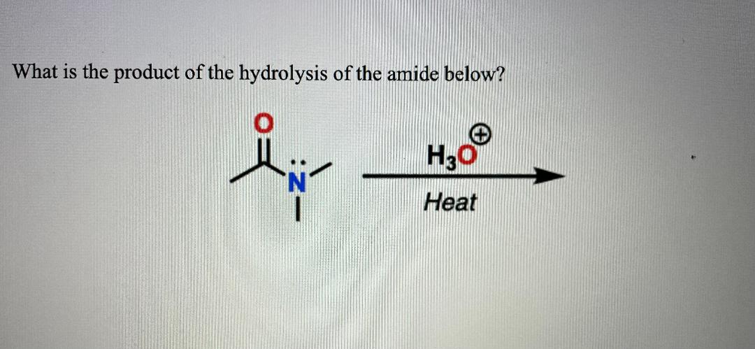 Solved What is the product of the hydrolysis of the amide | Chegg.com