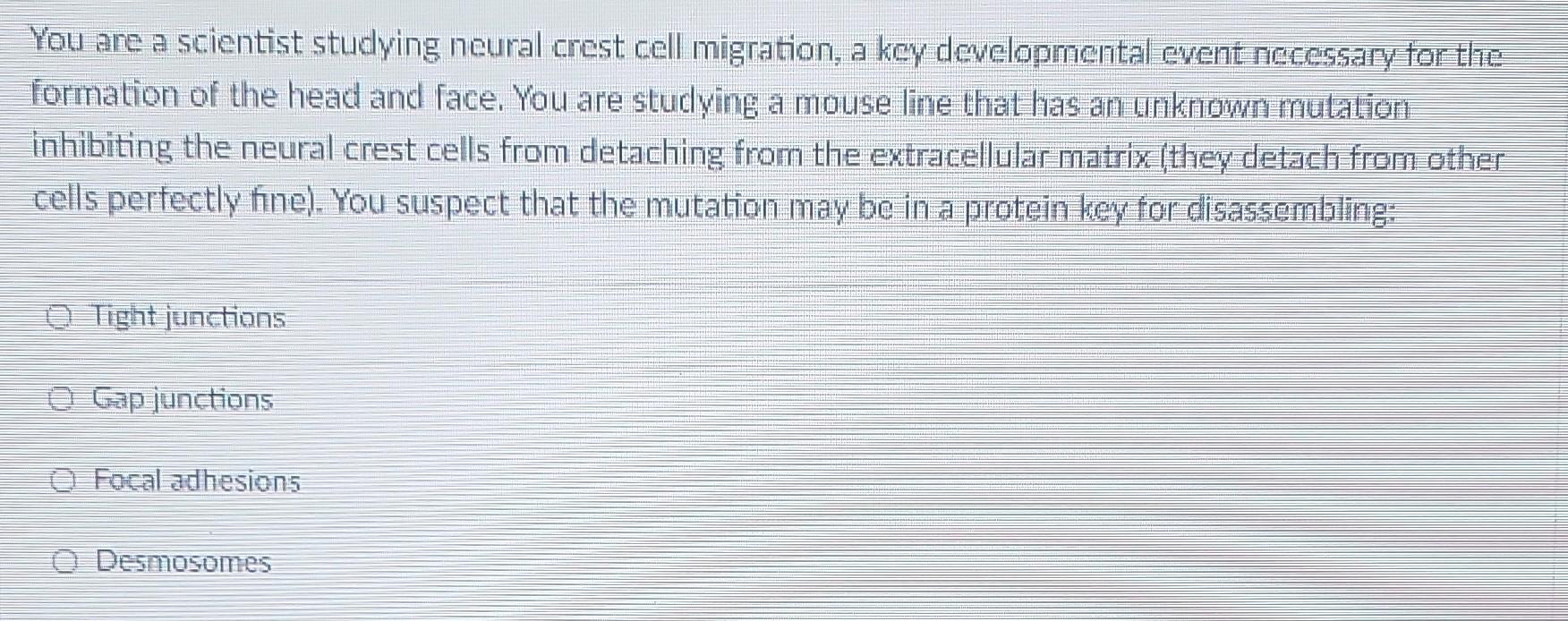 Solved You are a scientist studying neural crest cell | Chegg.com