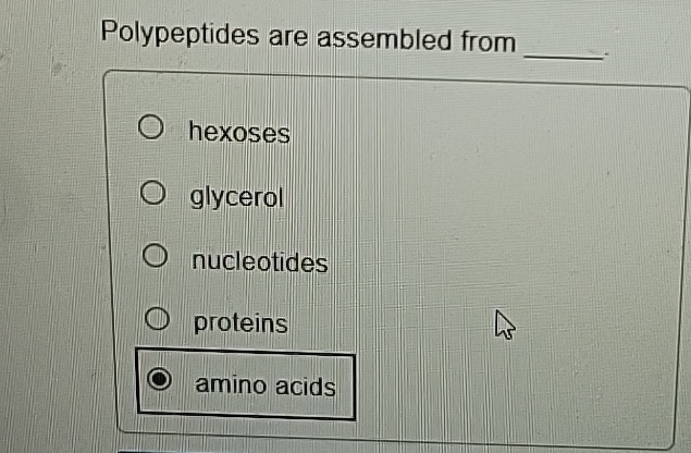 Solved Polypeptides are assembled from | Chegg.com