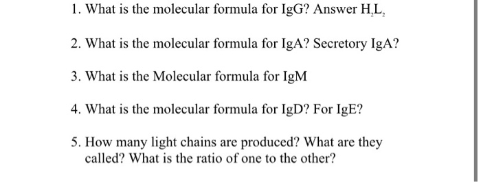 Solved 1. What is the molecular formula for IgG? Answer H,L, | Chegg.com