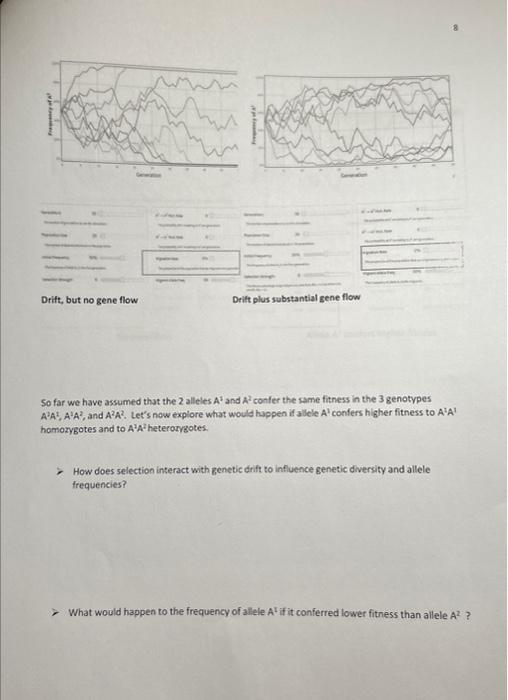 Solved Drift, but no gene flow Deift plus substantial gene | Chegg.com