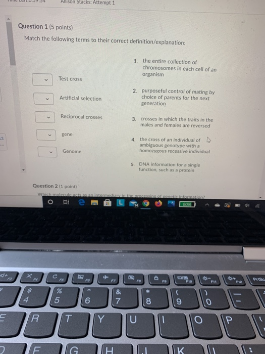 Solved Allison Stacks: Attempt 1 Question 1 (5 points) Match | Chegg.com