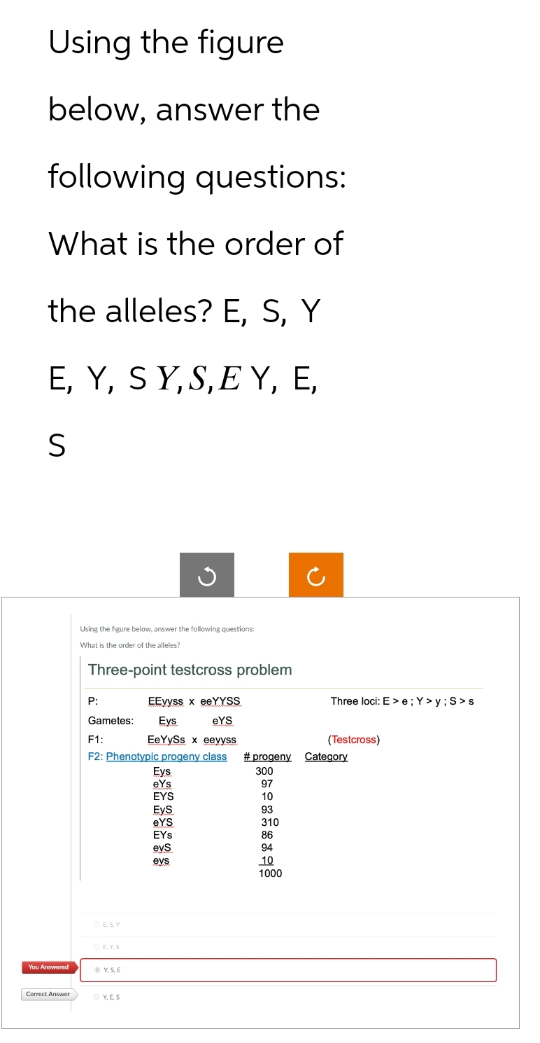 Solved Using the figure\\nbelow, answer the\\nfollowing | Chegg.com