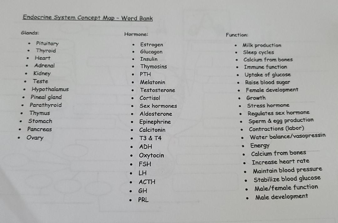 Solved Endocrine System Concept Map - Word Bank Glands: | Chegg.com
