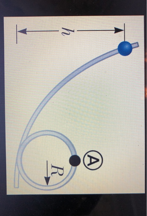 Solved A bead slides without friction around a loop the | Chegg.com