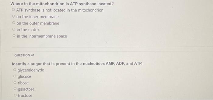 Solved Where in the mitochondrion is ATP synthase located? | Chegg.com