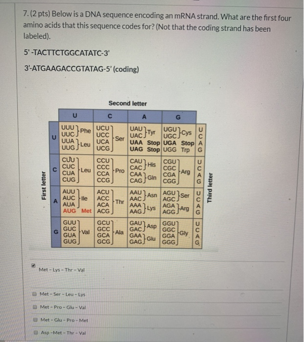 Solved 7.(2 pts) Below is a DNA sequence encoding an mRNA | Chegg.com