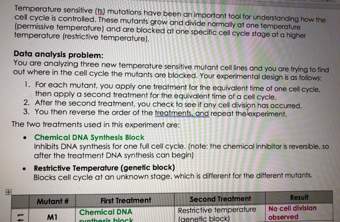 Solved Temperature sensitive (ts) mutations have been an | Chegg.com